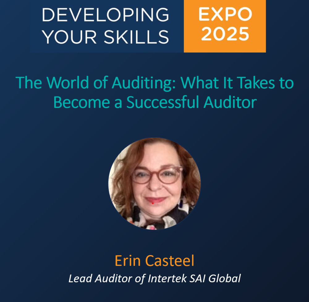 The World of Auditing: What it Takes to Become a Successful Auditor ...
